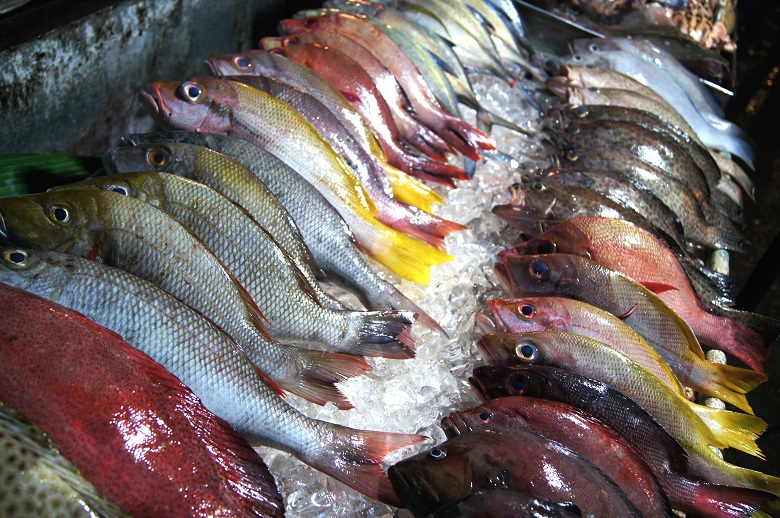 Peixe, o alimento que beneficia o corpo inteiro | Comendo com os Olhos
